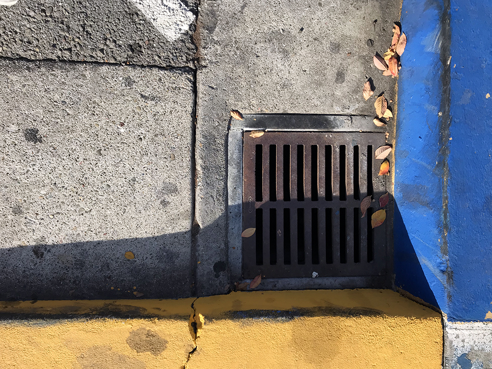 Colorful Drain | Brotherly Love