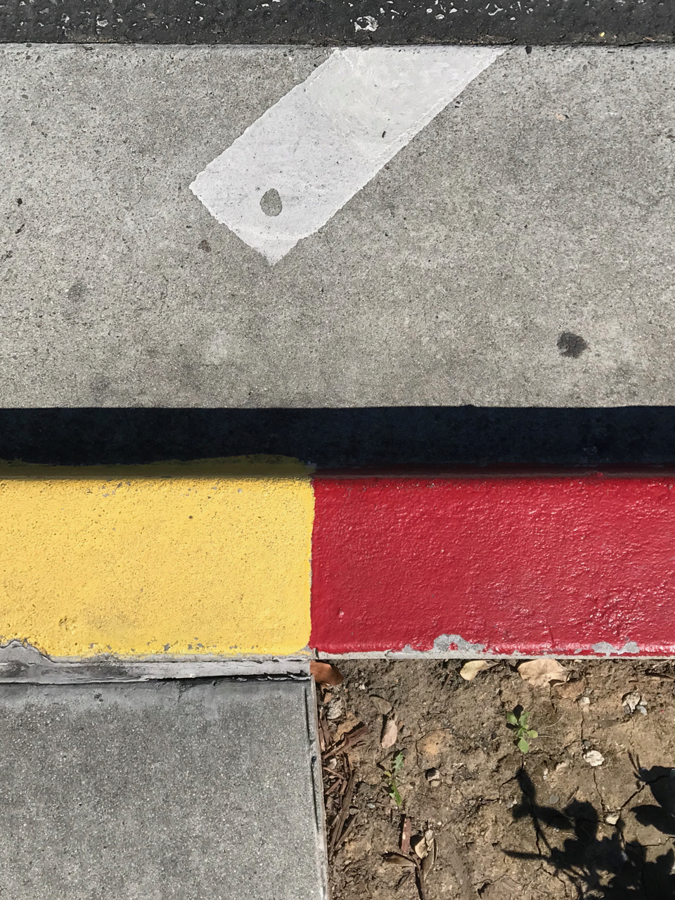 Parallel Borders and Diagonal White Line | Brotherly Love