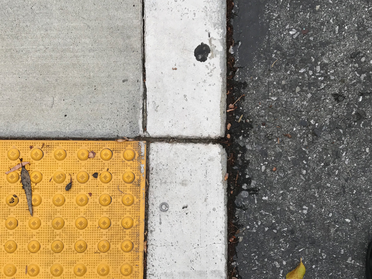 Geometric Pattern with Yellow Bumps, Leaves and a Black Spot ...
