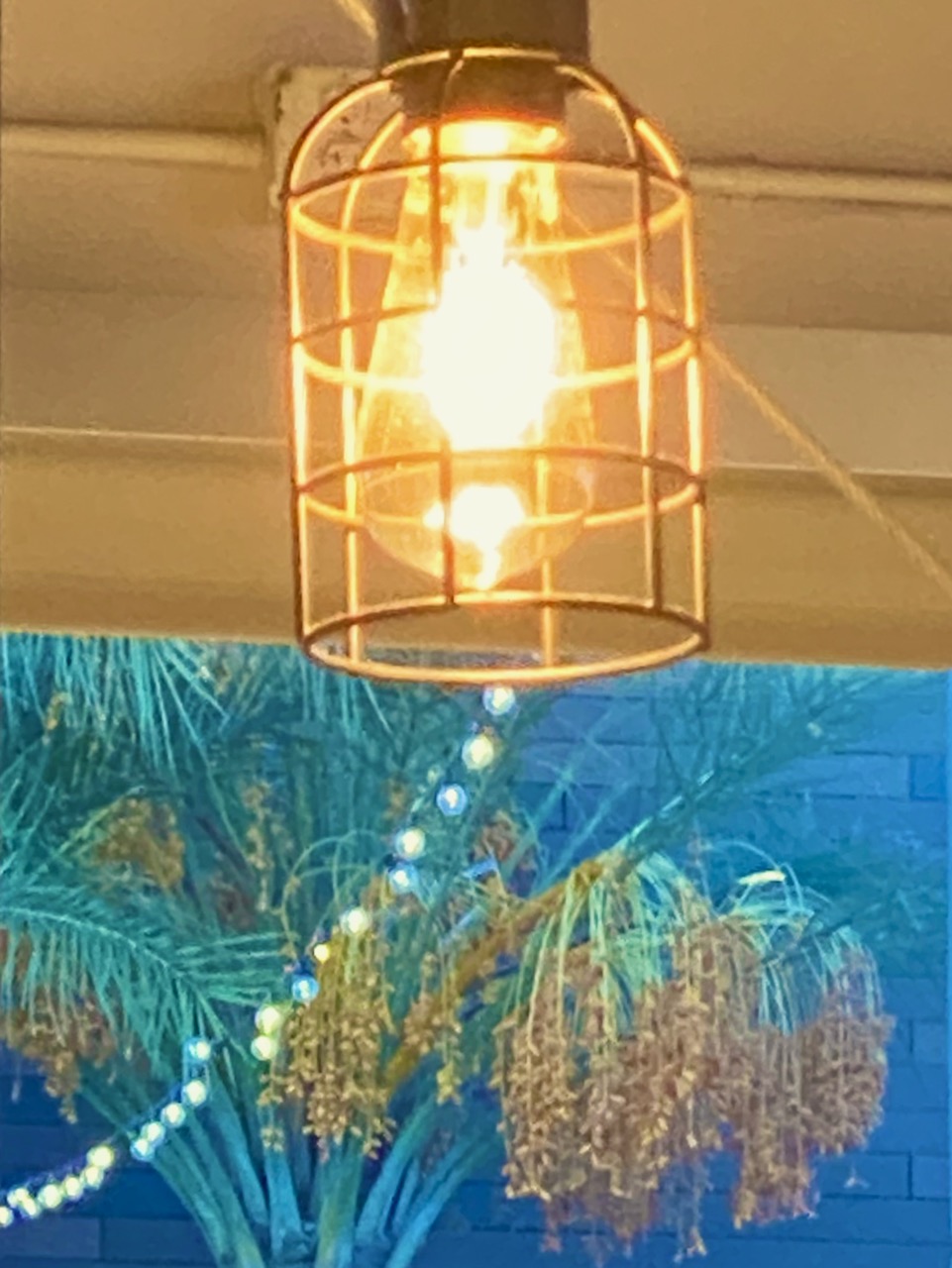 Light Drops | Brotherly Love