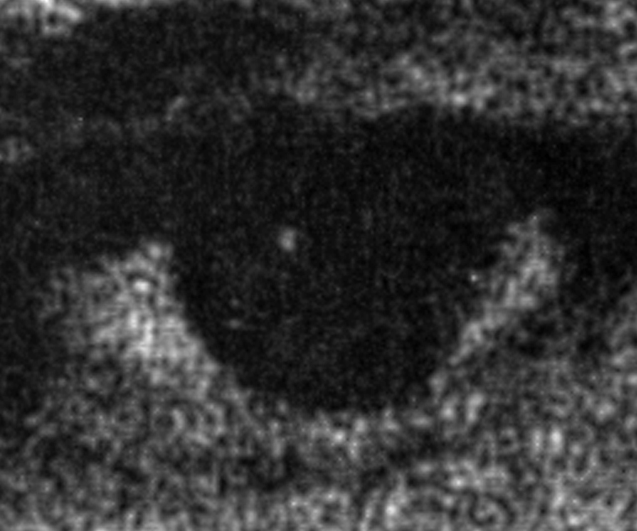 Memories of Michael: A Look into Mike’s Eye (1992) | Brotherly Love