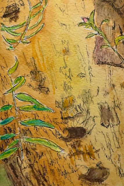 Meditation Series: (2/8) Tree Bark Textures, LA (2024)