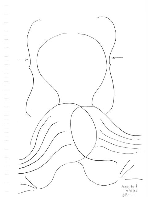 Pen and Ink Series #121: Janus Bird, LA, 2025