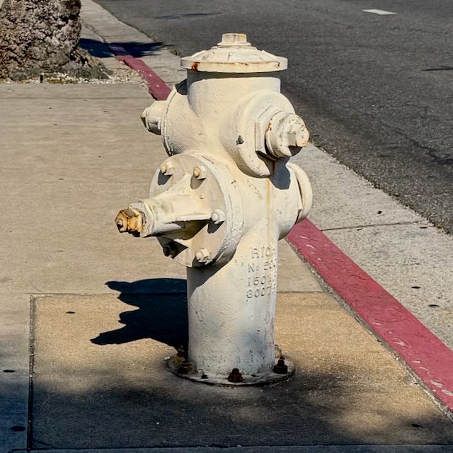 Street Photography: Fire Hydrant that Looks Like a Pig (or a Crocodile ...